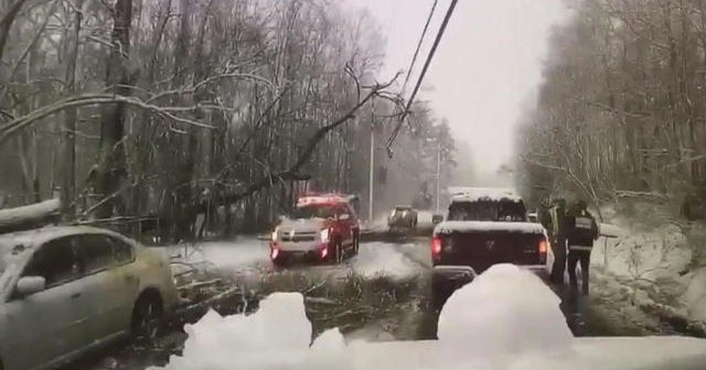 Tree falls on power lines in storm, narrowly missing man below - CBS News