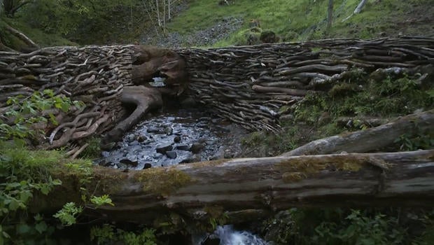 Review: Documentary on landscape artist Andy Goldsworthy, "Leaning Into ...