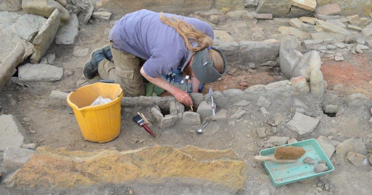 Iron Age people knew how to party, ancient trash heap reveals - CBS News