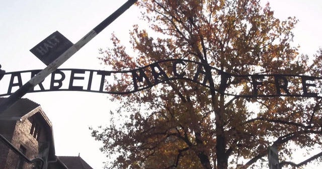 4 in 10 millennials don't know 6 million Jews were killed in Holocaust ...