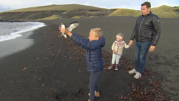 A children's puffin rescue squad - CBS News