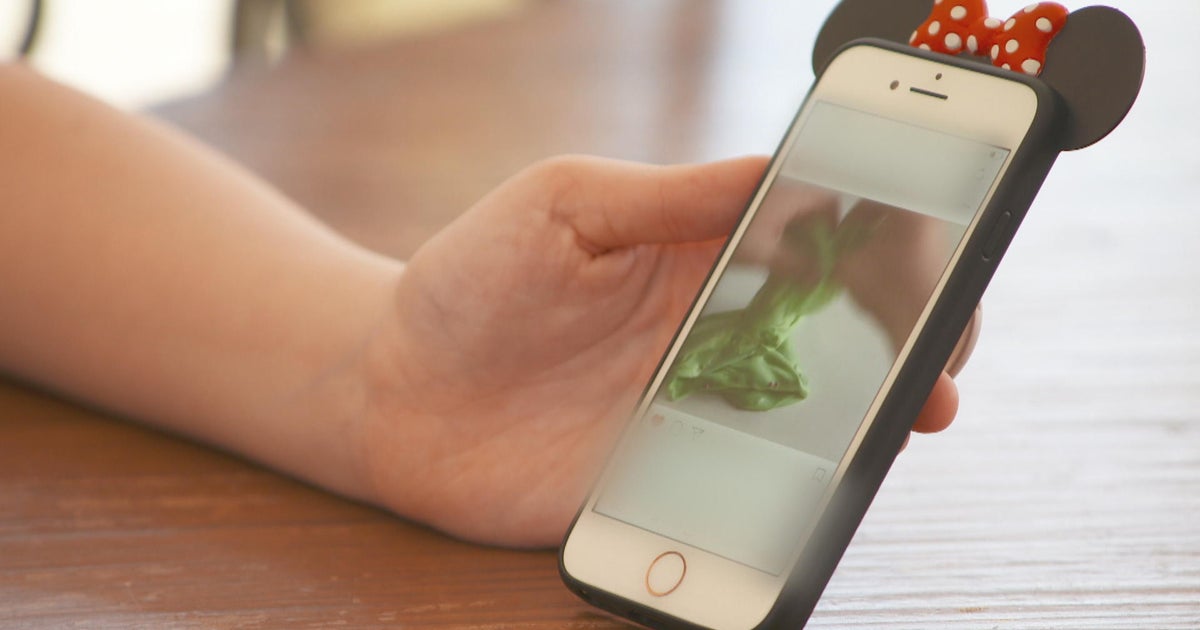 New program teaches kids how to protect their privacy online - CBS News