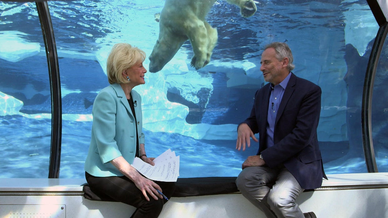 Matchmaking for zoo animals - CBS News