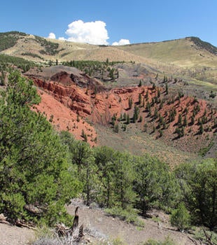 12 U.S. states where you could live near an active volcano