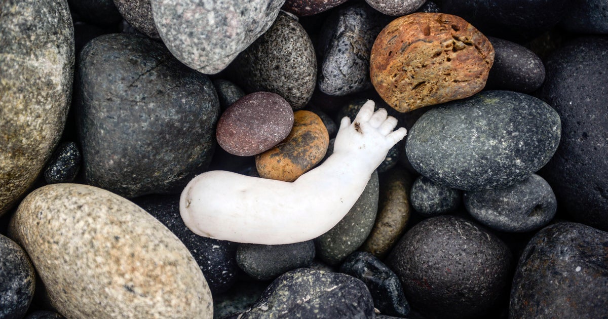 World Oceans Day: 8 things you can do to make a difference - CBS News