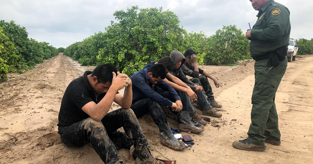Border Patrol arrests drop sharply in June - CBS News