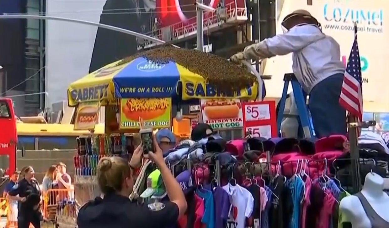 New York abuzz about swarm of bees in Times Square - CBS News