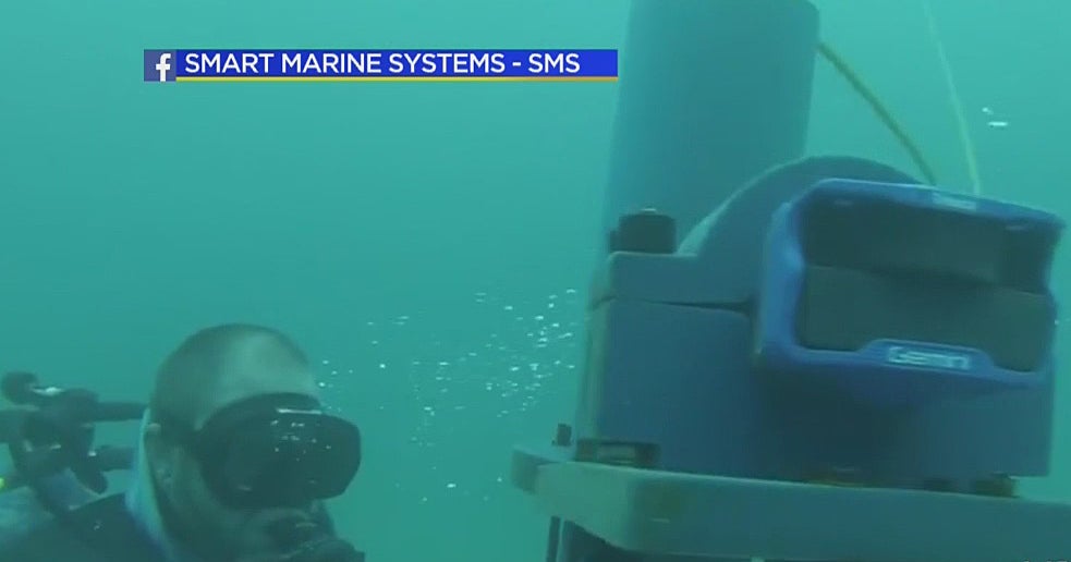 Shark Detection System Being Tested Off Newport Beach - CBS Los Angeles