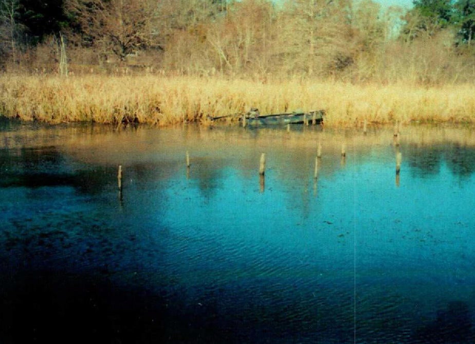 Mike Williams murder: Mother a driving force as jury finds answers to ...