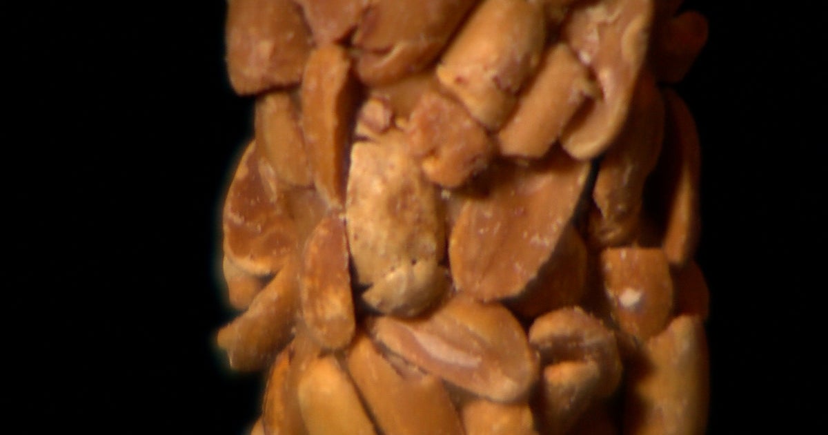 WCCO Viewers' Choice For The Best Candy Company In Minnesota - CBS ...
