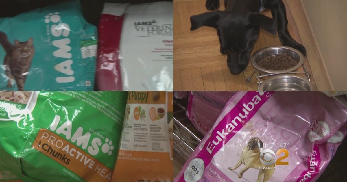 Dog Food Dilemma: Popular Pet Foods Could Prove Harmful For Your Furry ...