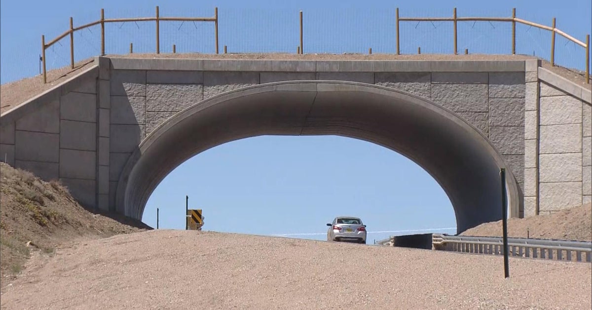 US rolls out funding for wildlife crossings along busy roads in ...