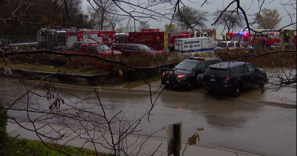 UPDATE: Body Of Woman Who Drowned In Lake Michigan Identified - CBS Chicago