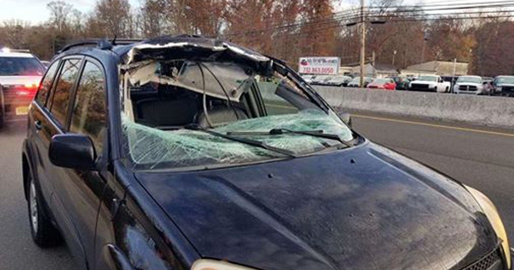 Deer Smashes Through Windshield Of Car In New Jersey - CBS New York