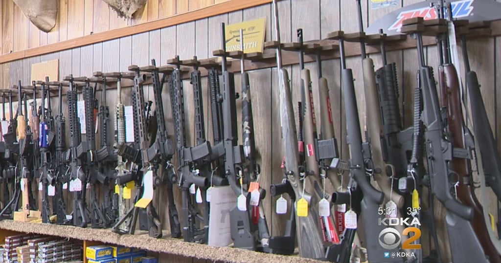 Rally Hosted By Rep. Daryl Metcalfe Brings Gun Rights Advocates To ...