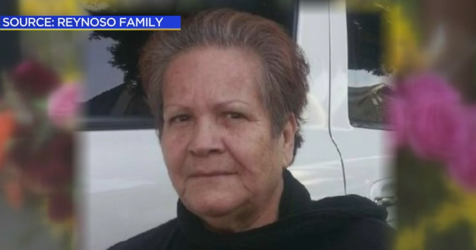 Suspect With Criminal Record Arrested In Hit-And-Run That Killed Great ...