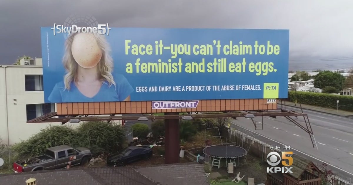 PETA Billboard Says You Can't Be A Feminist If You Eat Eggs - CBS San ...