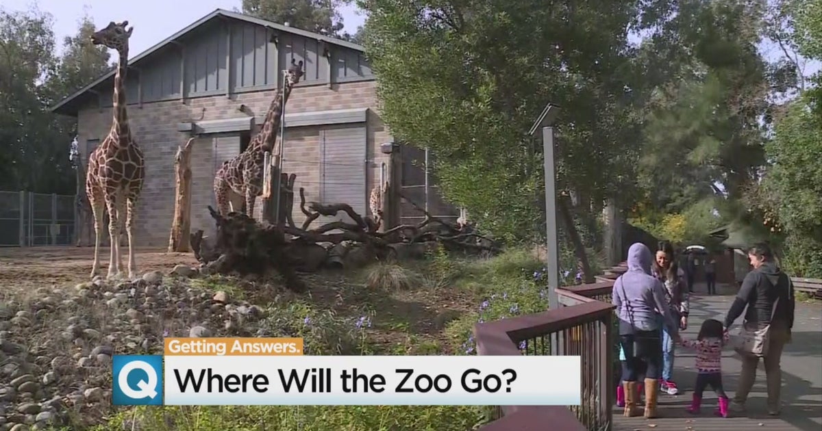 City Council Votes To Fund Zoo Relocation Feasibility Study - CBS ...