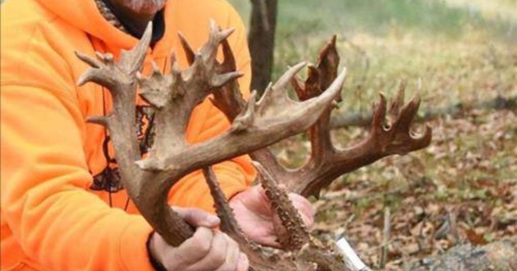 One For The Record Books? Hunter Shoots Possibly Largest Buck Ever In ...