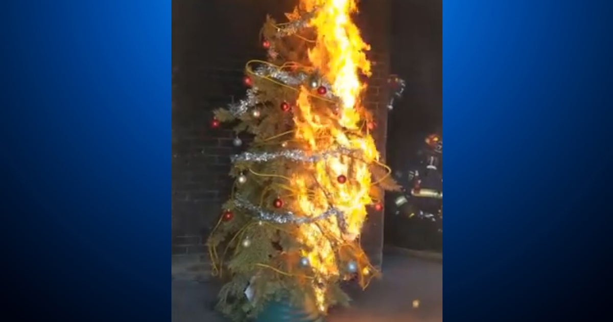 VIDEO: Christmas Tree Goes Up In Flames In Seconds - CBS Colorado