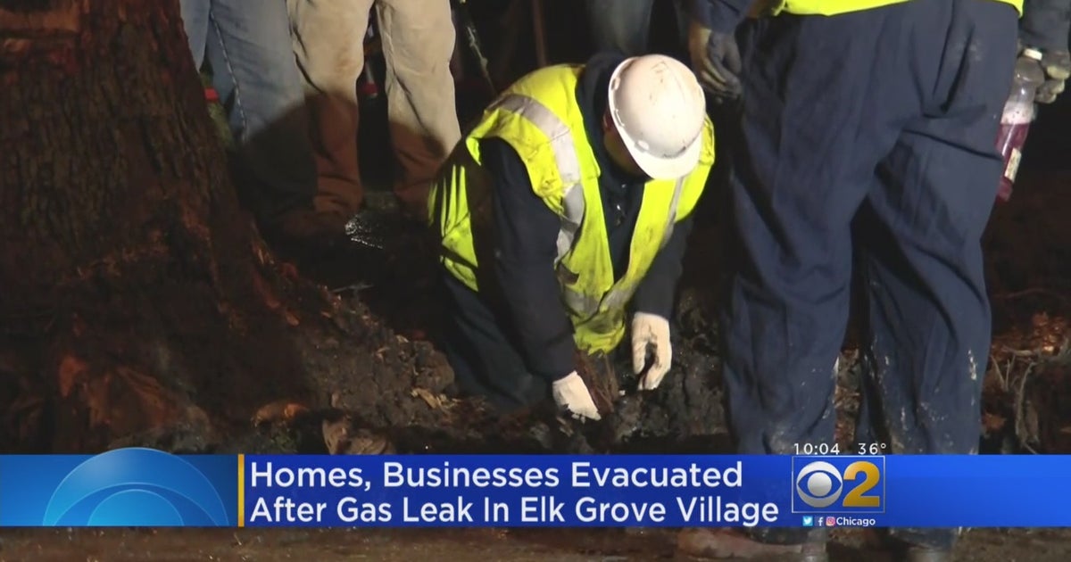 Natural Gas Main Break In Elk Grove Village Forces Home Evacuations ...