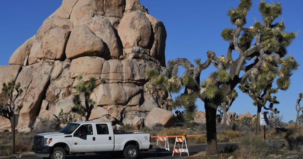 Joshua Tree National Park temporarily closing to fix damage amid ...