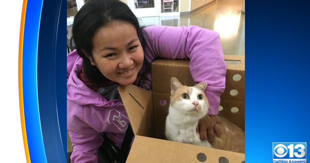 Cat Reunited With Owner After Missing For Over A Year - Good Day Sacramento