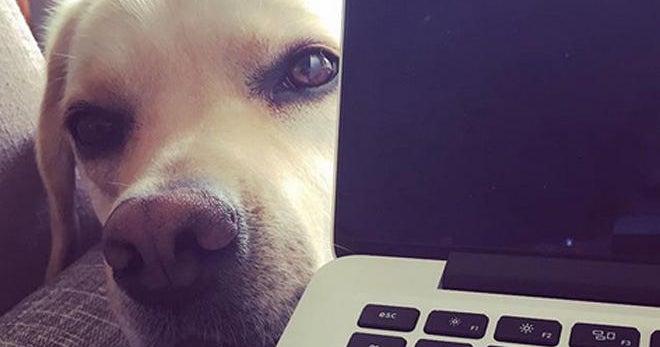 My dog Rudy - CBS News