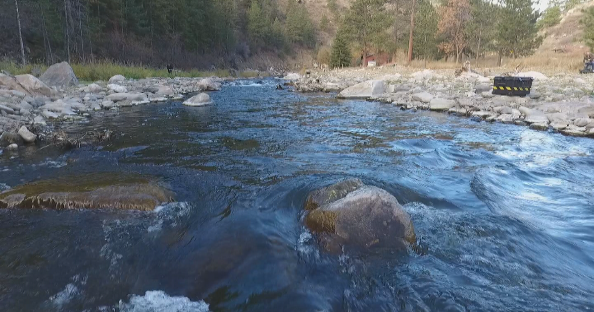 Restoration Project In Big Thompson River Underway - CBS Colorado