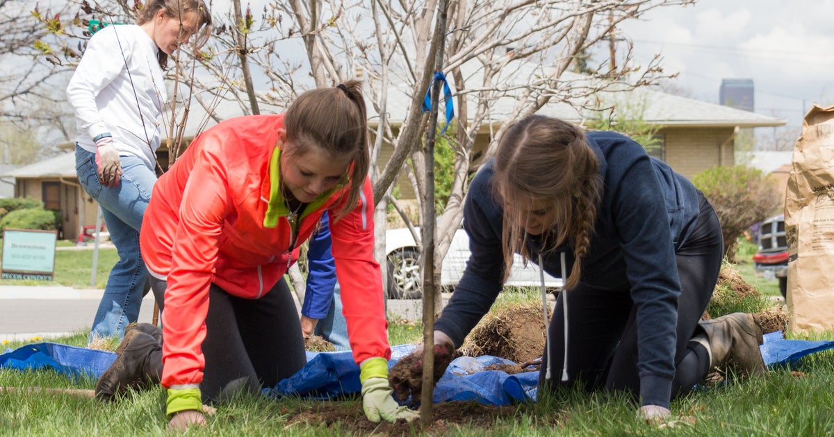 Want To Spruce Up Your Yard? For Denver Residents, It Can Be Free - CBS ...