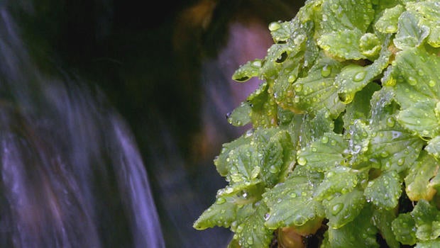 Moment in nature: Idaho hot springs - CBS News