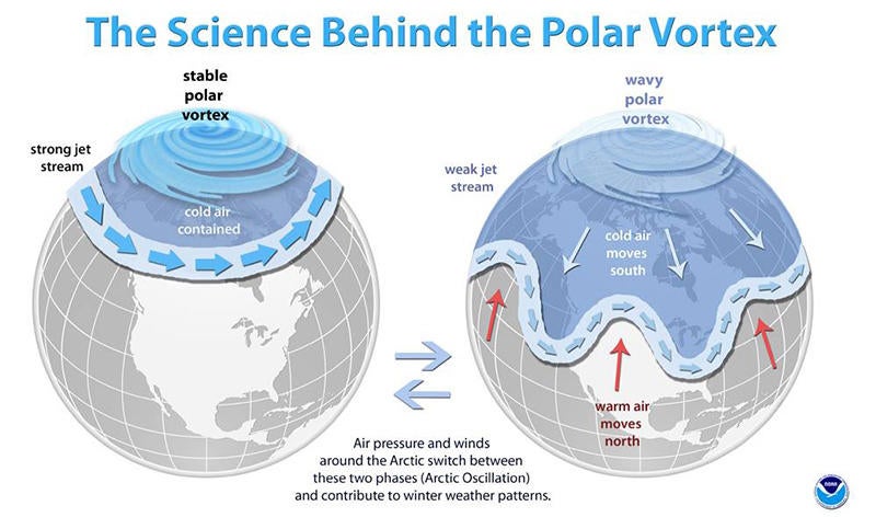 Polar vortex 2019: Latest weather updates, flight delays ...