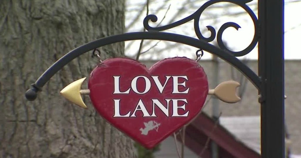 Traffic Circle May Be Coming To Mattituck's Famous Love Lane - CBS New York