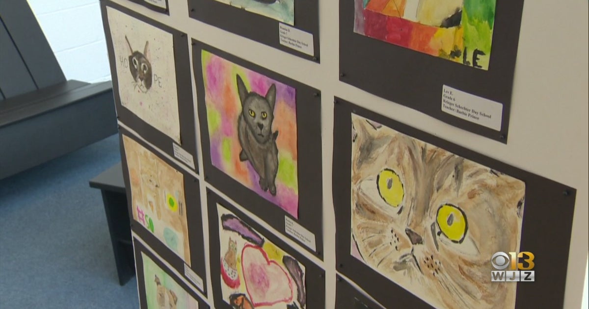 SPCA's 'Kindness For Paws Art Show' Features Student Work, Encourages ...