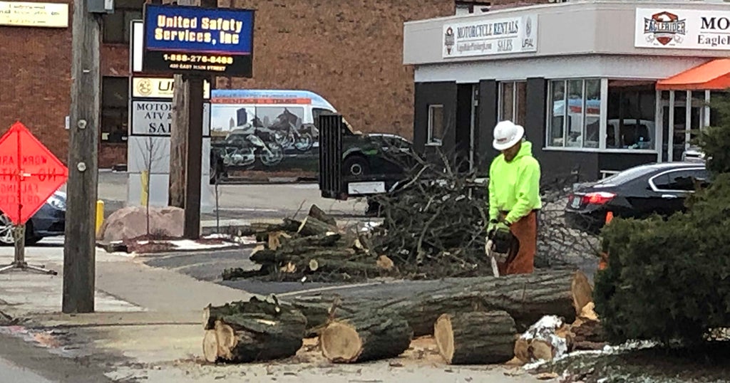 Tree Falls On Power Lines In Carnegie - CBS Pittsburgh