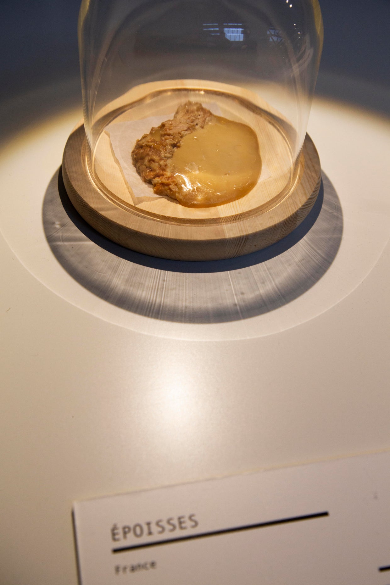Disgusting Food Museum: Photos of the most disgusting food in the world ...