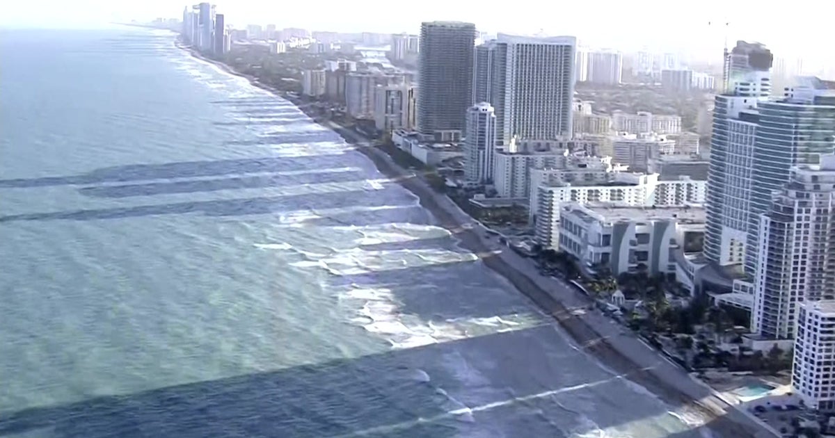 Miami-Dade Mayor Warns Of Sea Level Rise Impact On County Owned ...