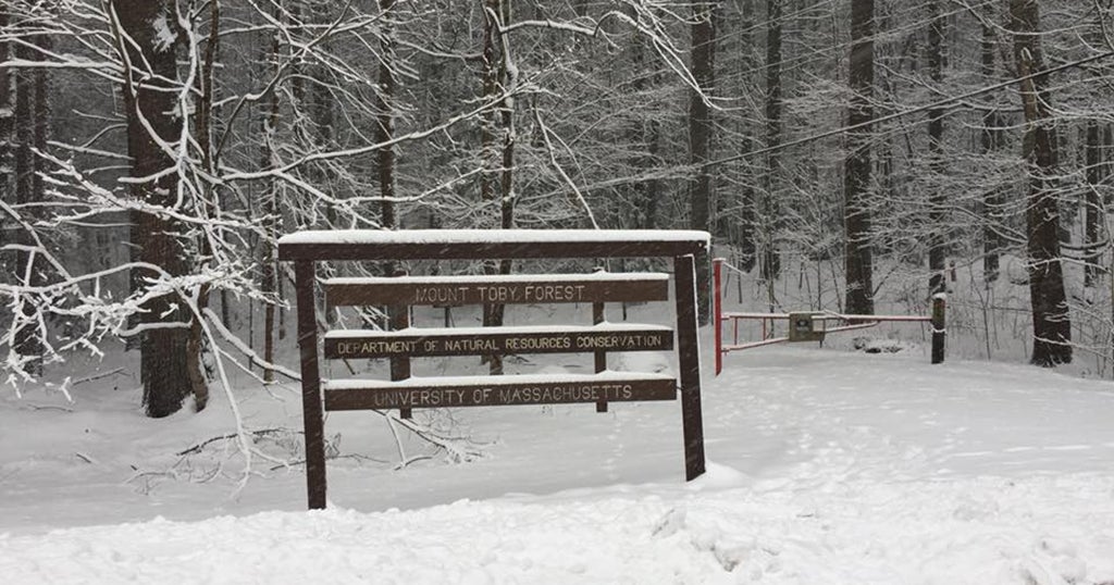 Dead Body Found Near Popular Western Mass. Hiking Trails - CBS Boston