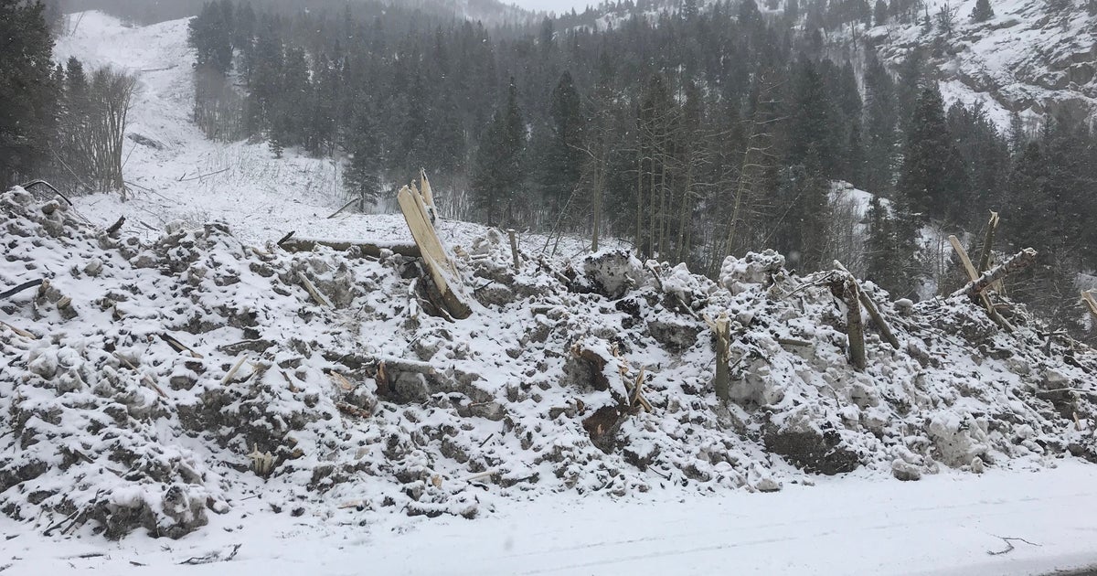 Avalanche Full Of Trees & Rocks Cuts Some Residents Off - CBS Colorado