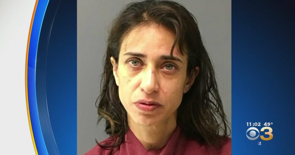 Insanity Defense Planned In Trial Of Woman Accused Of Killing Former ...