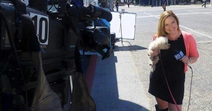 Photos: KPIX 5 Staff And Viewers Share Pix For National Puppy Day