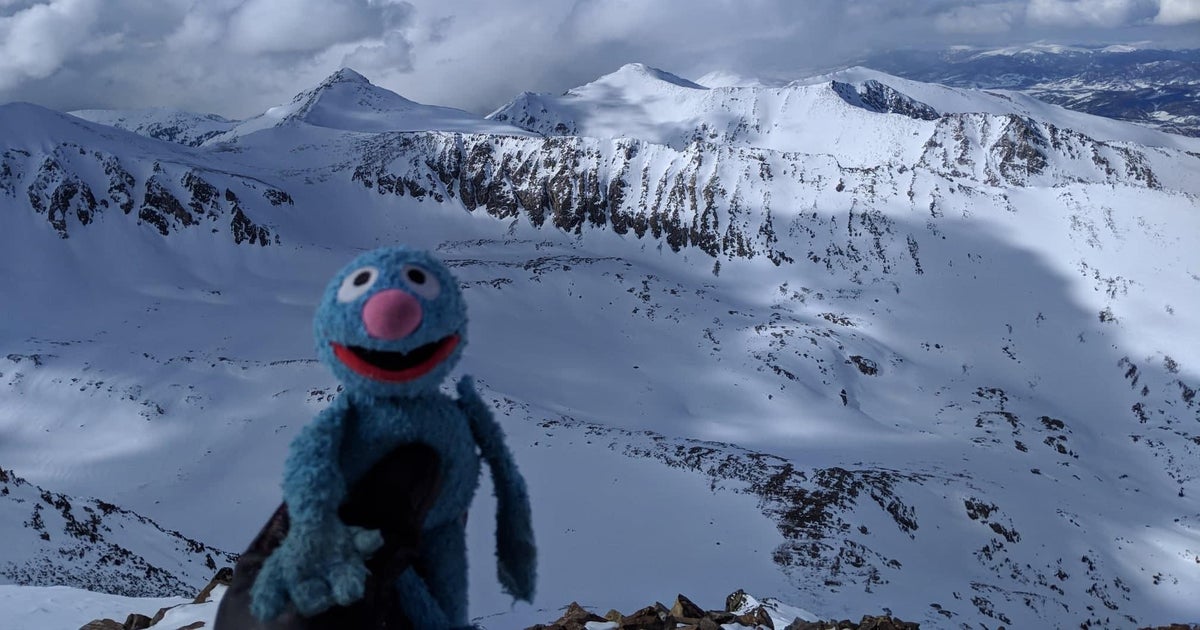 Lost stuffed animal: 4-year-old boy getting reunited with missing ...