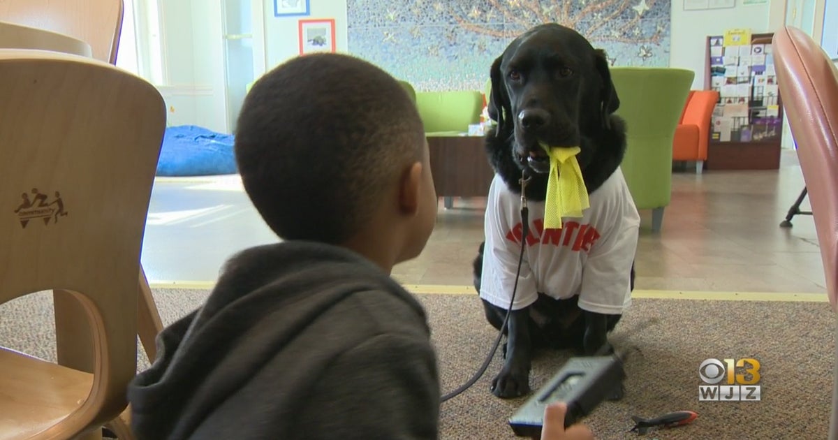 Olympic Gold Medal Gymnast Aly Raisman To Speak At Baltimore Child ...