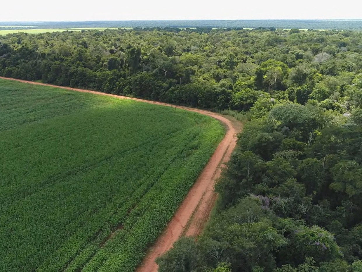 Earth Day 2019: How deforestation threatens the Amazon rainforest - CBS ...