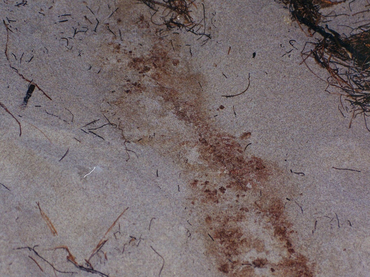Dale Pike murder: Evidence photos in the case against Enrico Forti