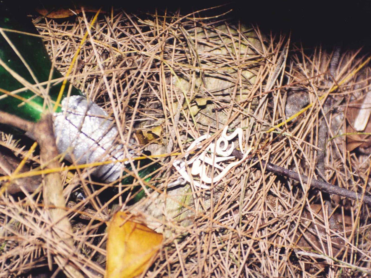 Dale Pike murder: Evidence photos in the case against Enrico Forti