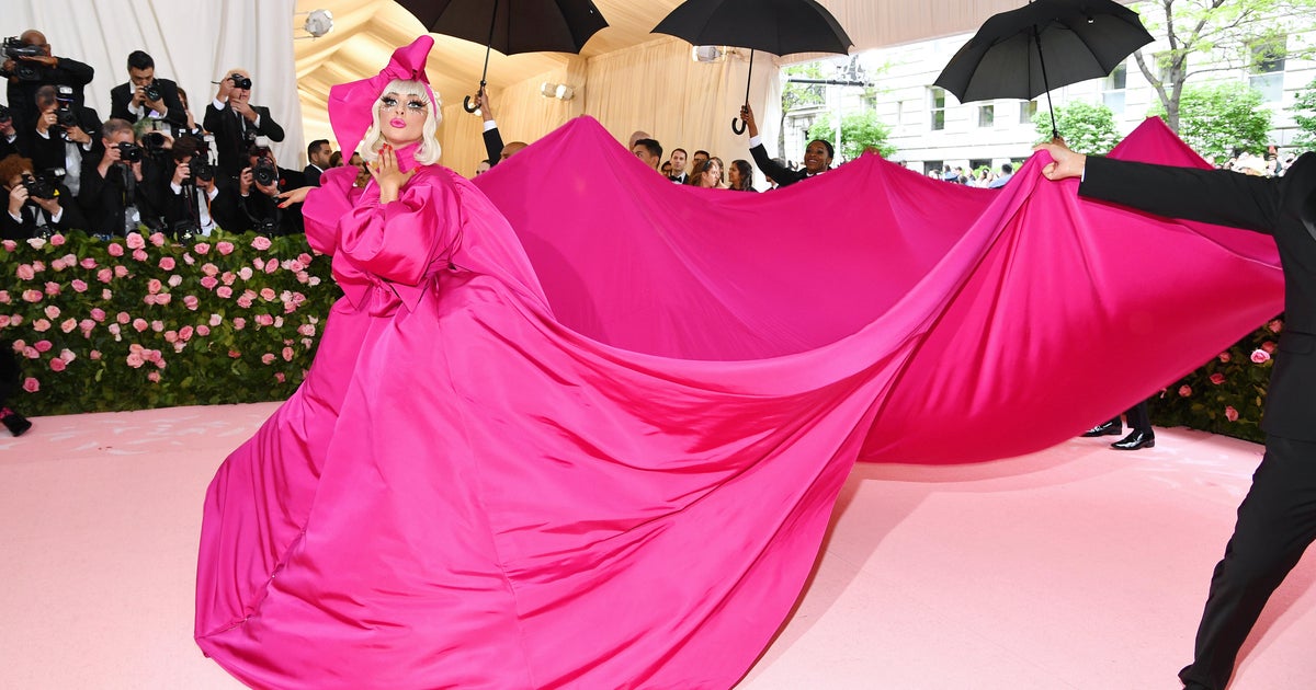 New bug species named after Lady Gaga due to its "wacky fashion sense ...