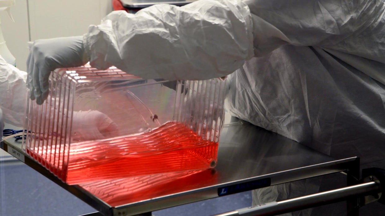 Researchers hope new vaccine could improve odds for pancreatic cancer ...