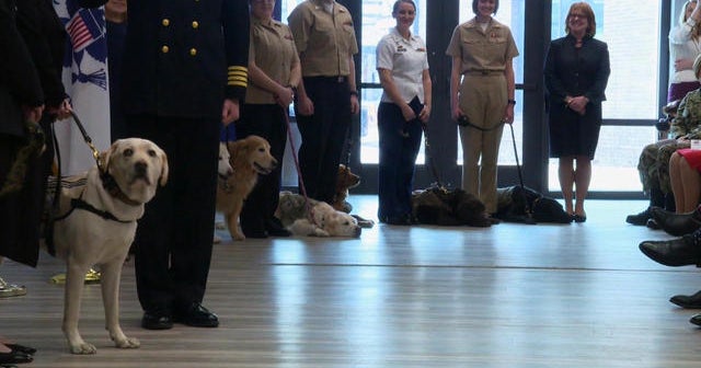 George HW Bush’s service dog still playing a vital role in ...