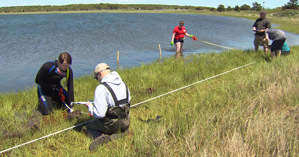 College Students Work To Solve Shipwreck Mystery On Cape Cod - CBS Boston